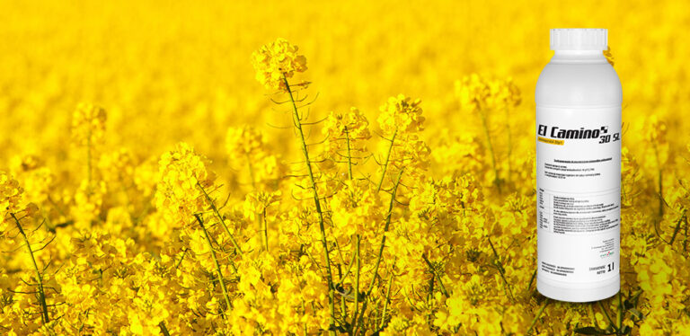 Herbicyd na rzepak EL CAMINO 30 SL - Chemirol