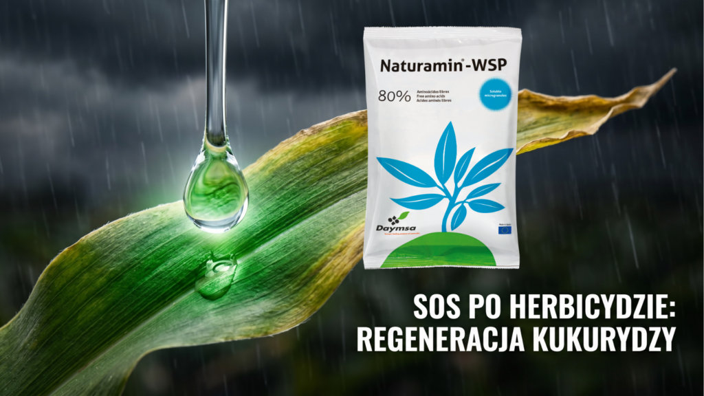 Los Ovados 200 SE | Środki ochrony roślin - Chemirol Sp. z o.o.